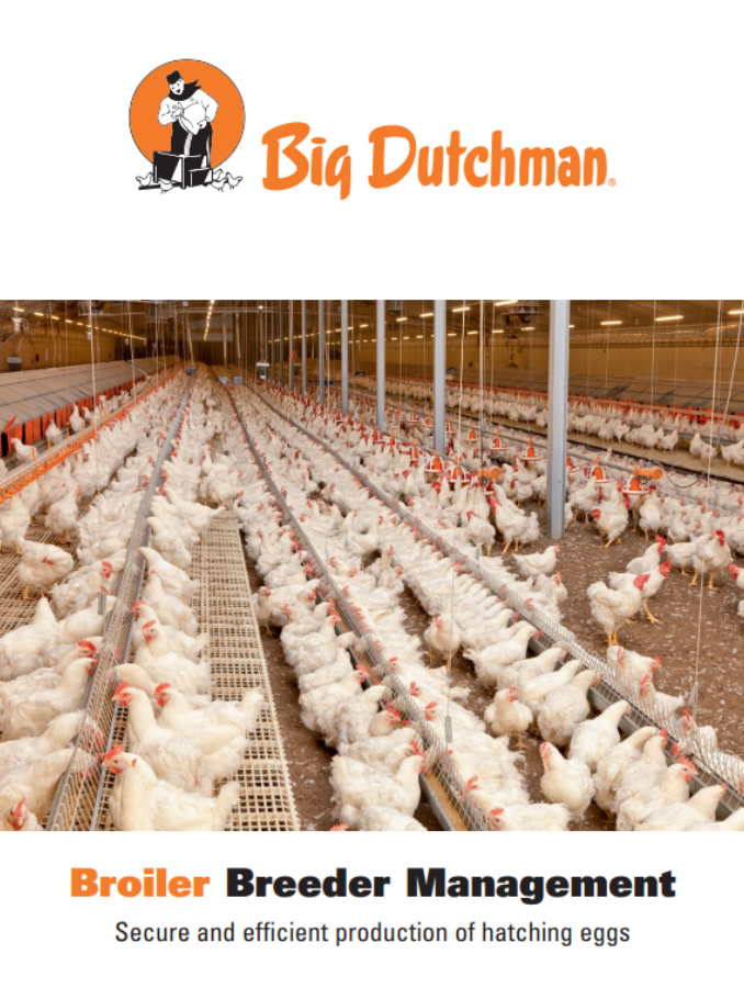 Broiler Breeder Management | Poultry Growing | Newquip