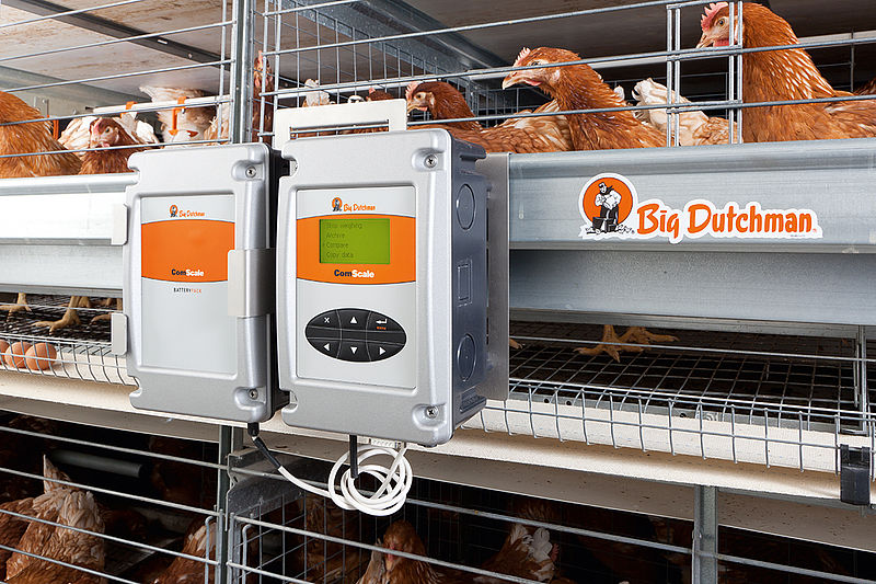 Enriched Colony Systems | Egg Production | Newquip